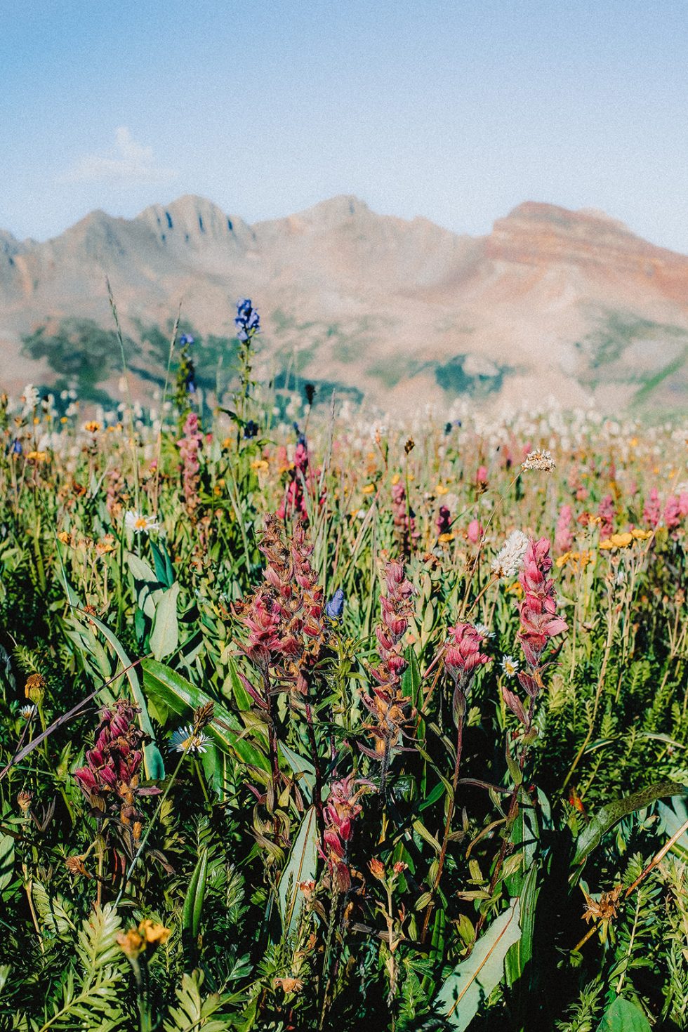 Patient Information - Four Corners OBGYN