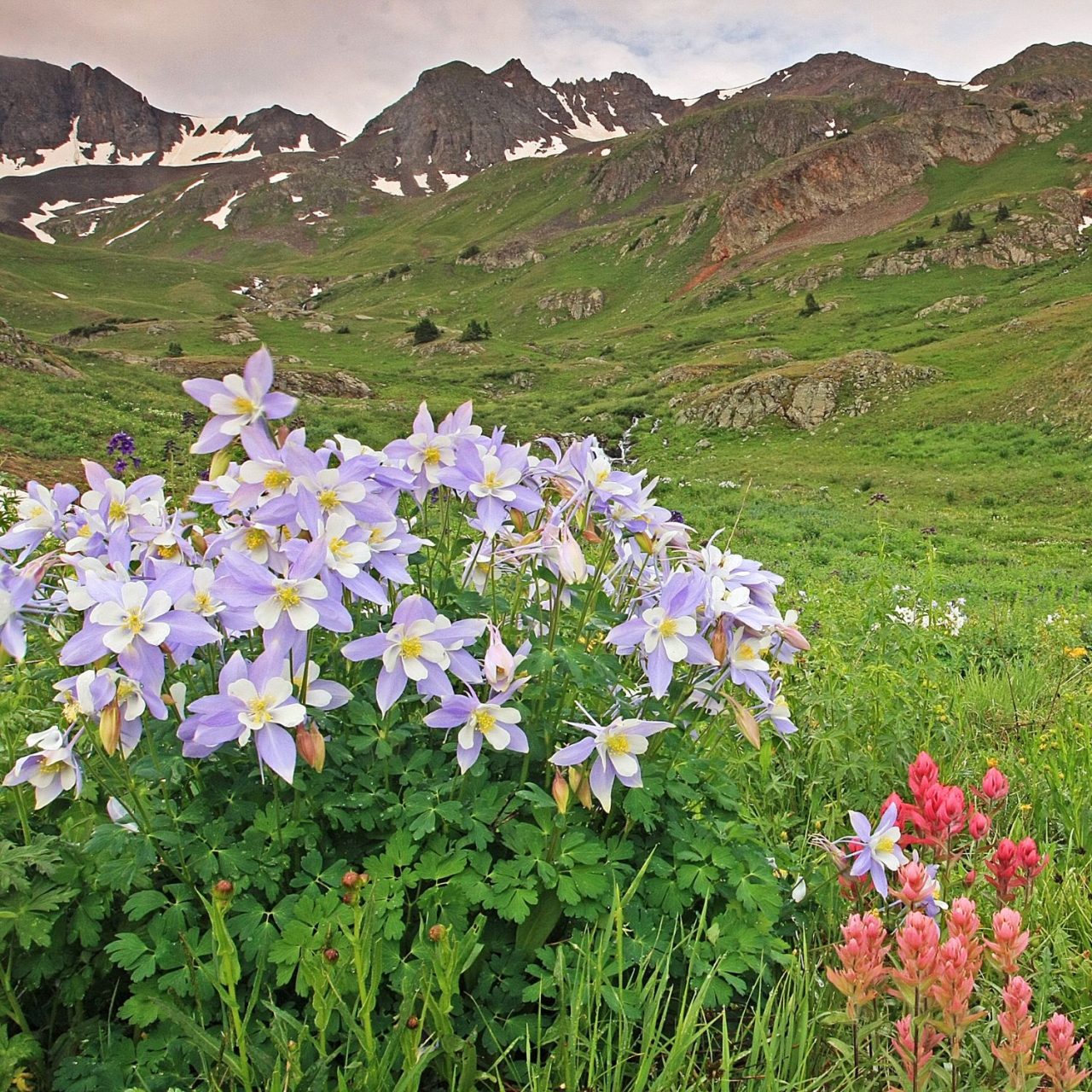 Other Services - Four Corners OBGYN