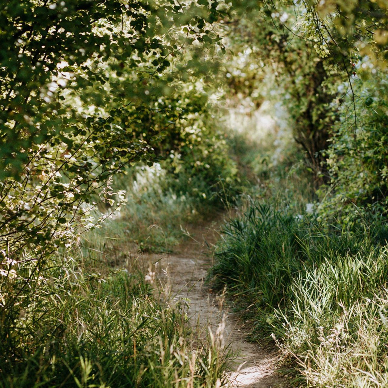 Menopause Support - Four Corners OBGYN