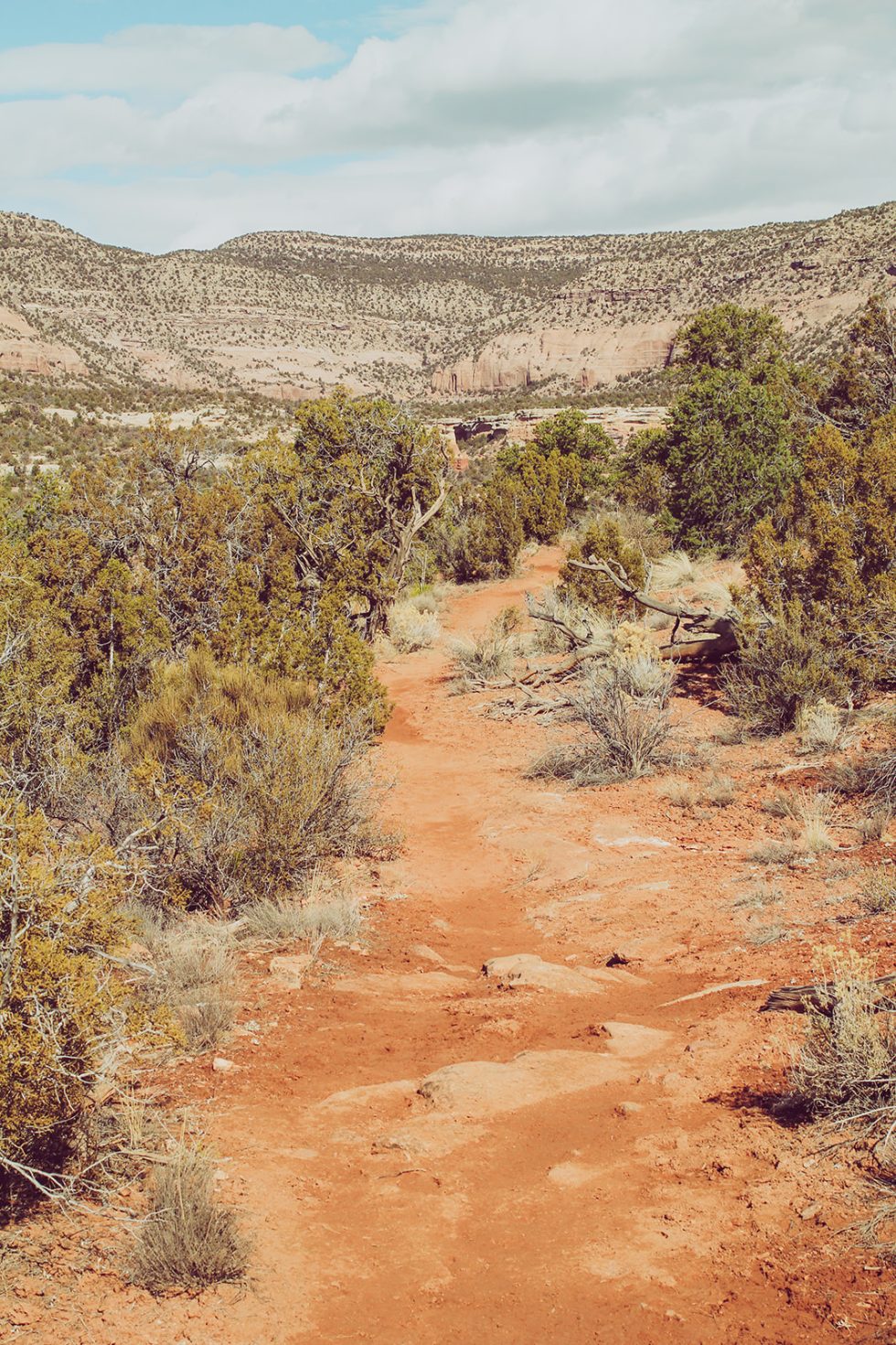 Birth Control - Four Corners OBGYN